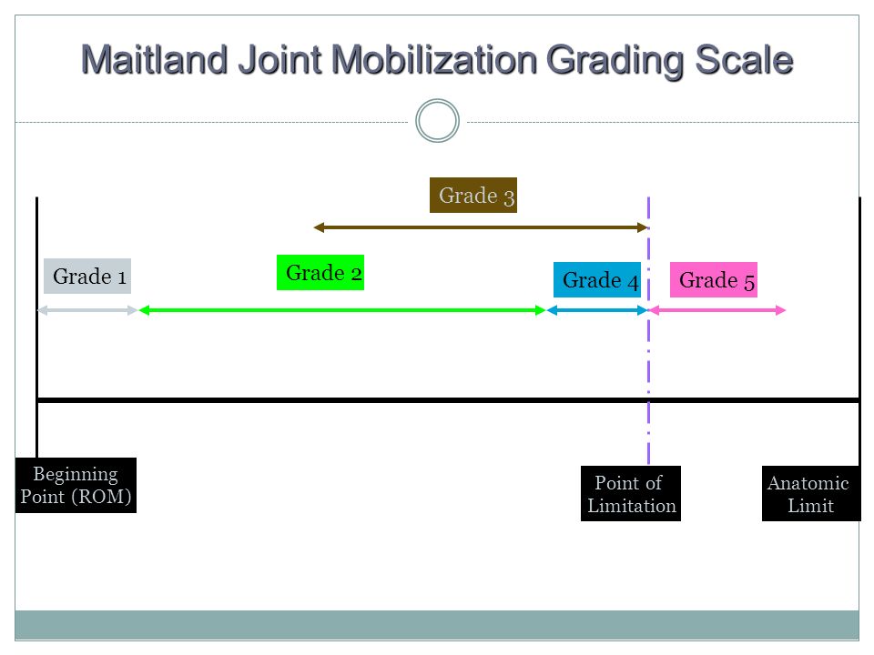 What an adjustment does - Armourchiro.com